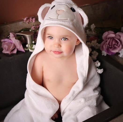 2c17b25a91bf52ac3535cbdc71f2e257_1200x1200.jpg?v=1620118216